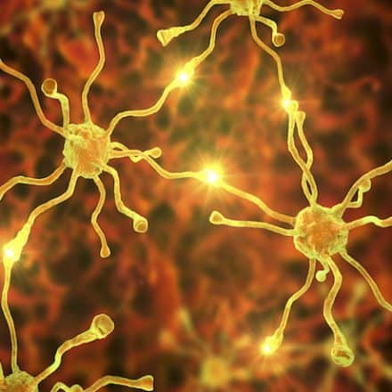 Agomab outlines design of phase 2b NOV‑ERA study in fibrostenosing ...