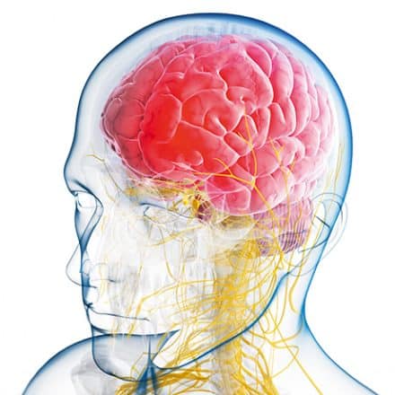 4basebio receives MHRA licence for synthetic DNA manufacture - PharmaTimes